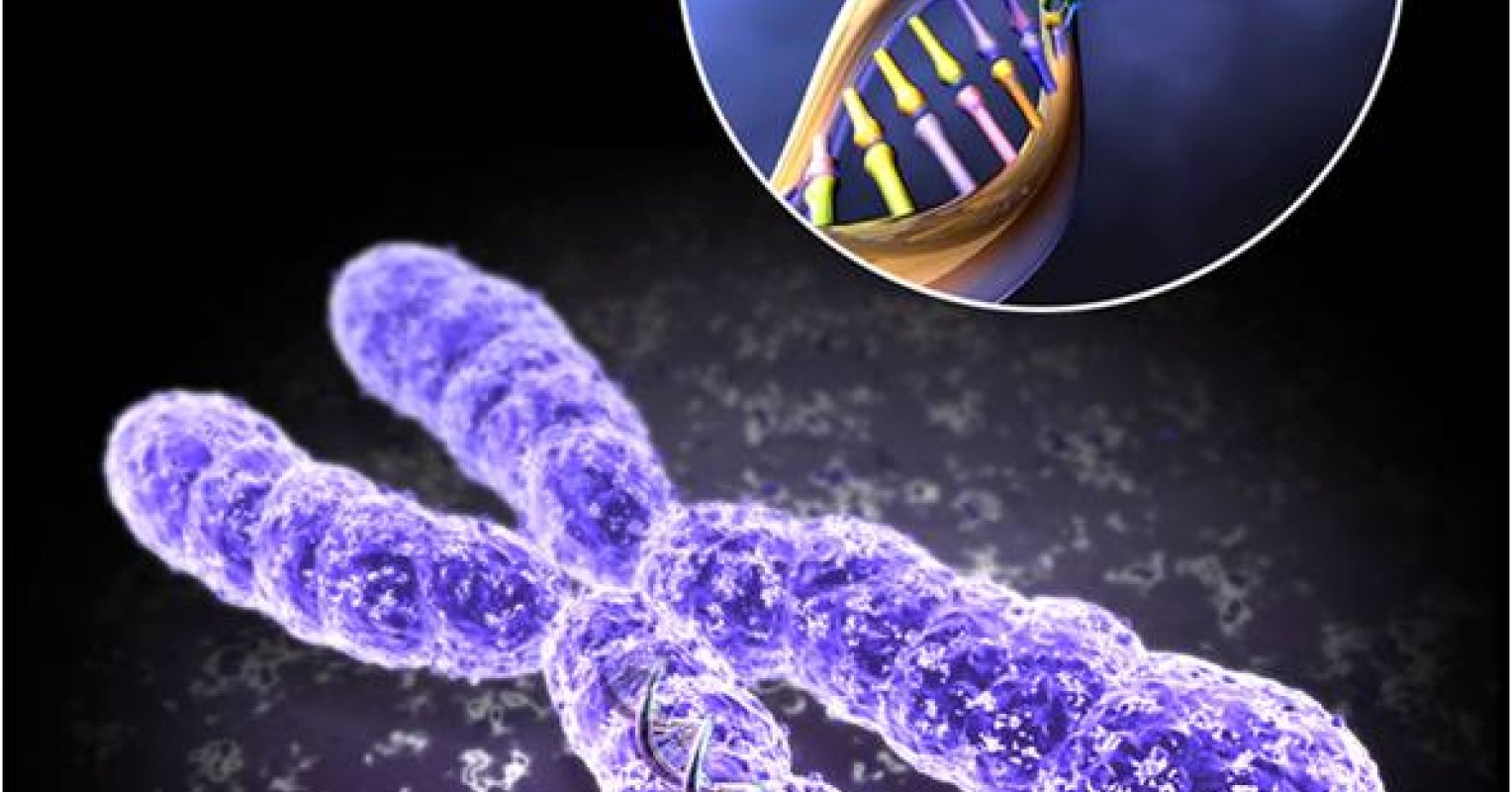 Social Disadvantage Creates Genetic Wear and Tear | Psychology Today ...