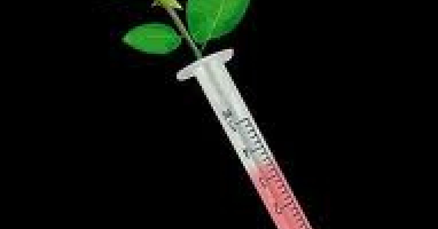 Euthanasia: A Good Death? | Psychology Today