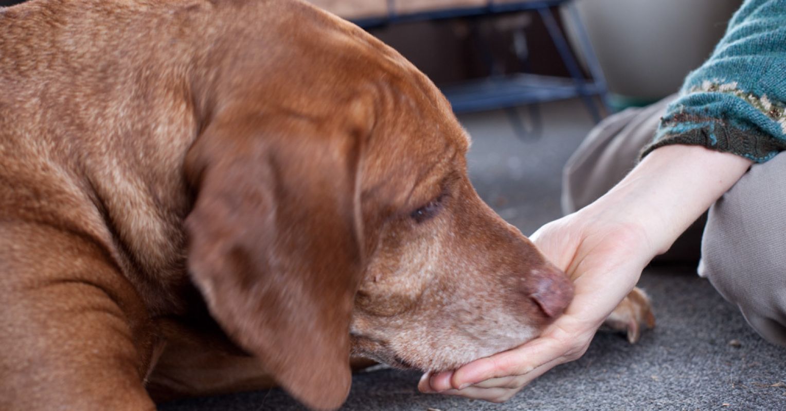 Grave Grief | Psychology Today