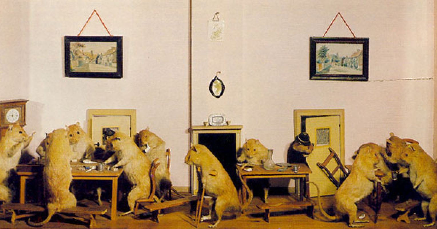 Ethical Taxidermy? | Psychology Today