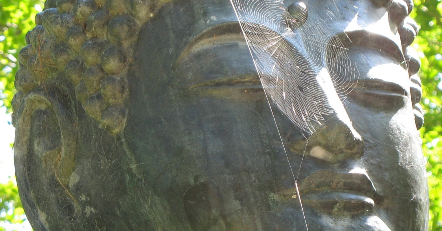 "What Do You Mean... Human?" | Psychology Today