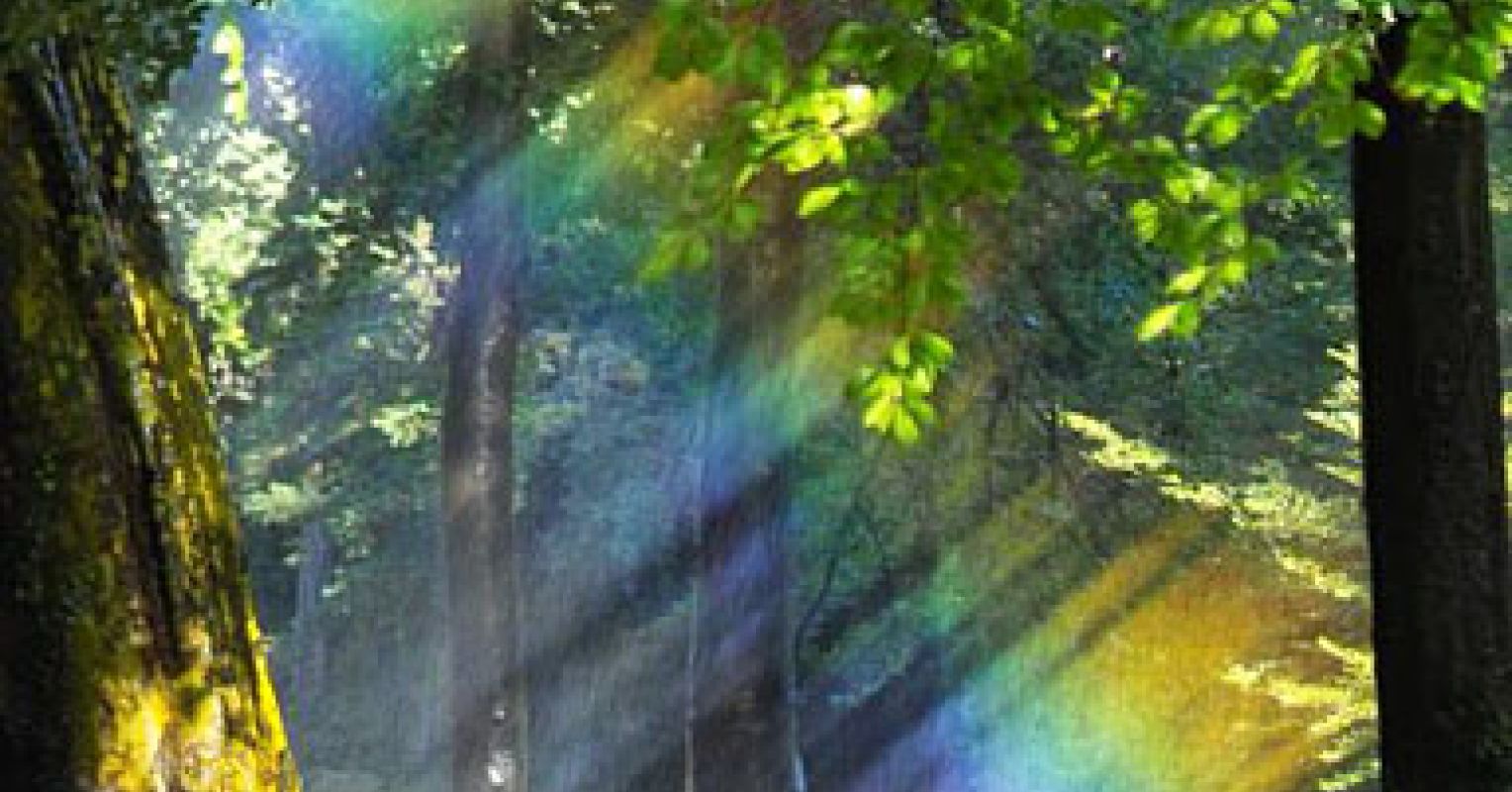 DNA Results: Positive for Tetrachromacy | Psychology Today