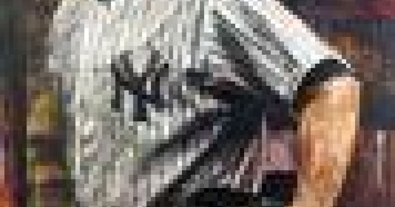 An Upper Class Morality Play | Psychology Today