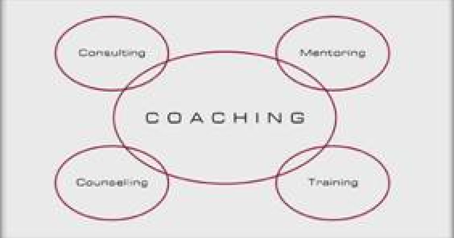 Building an Executive Coaching Practice in Media & Education ...