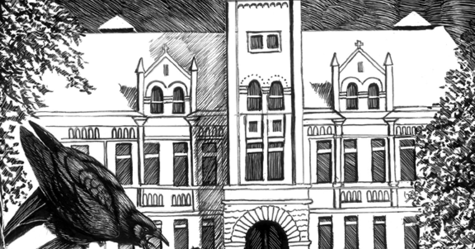 The Alluring Language of Crows and Ravens | Psychology Today