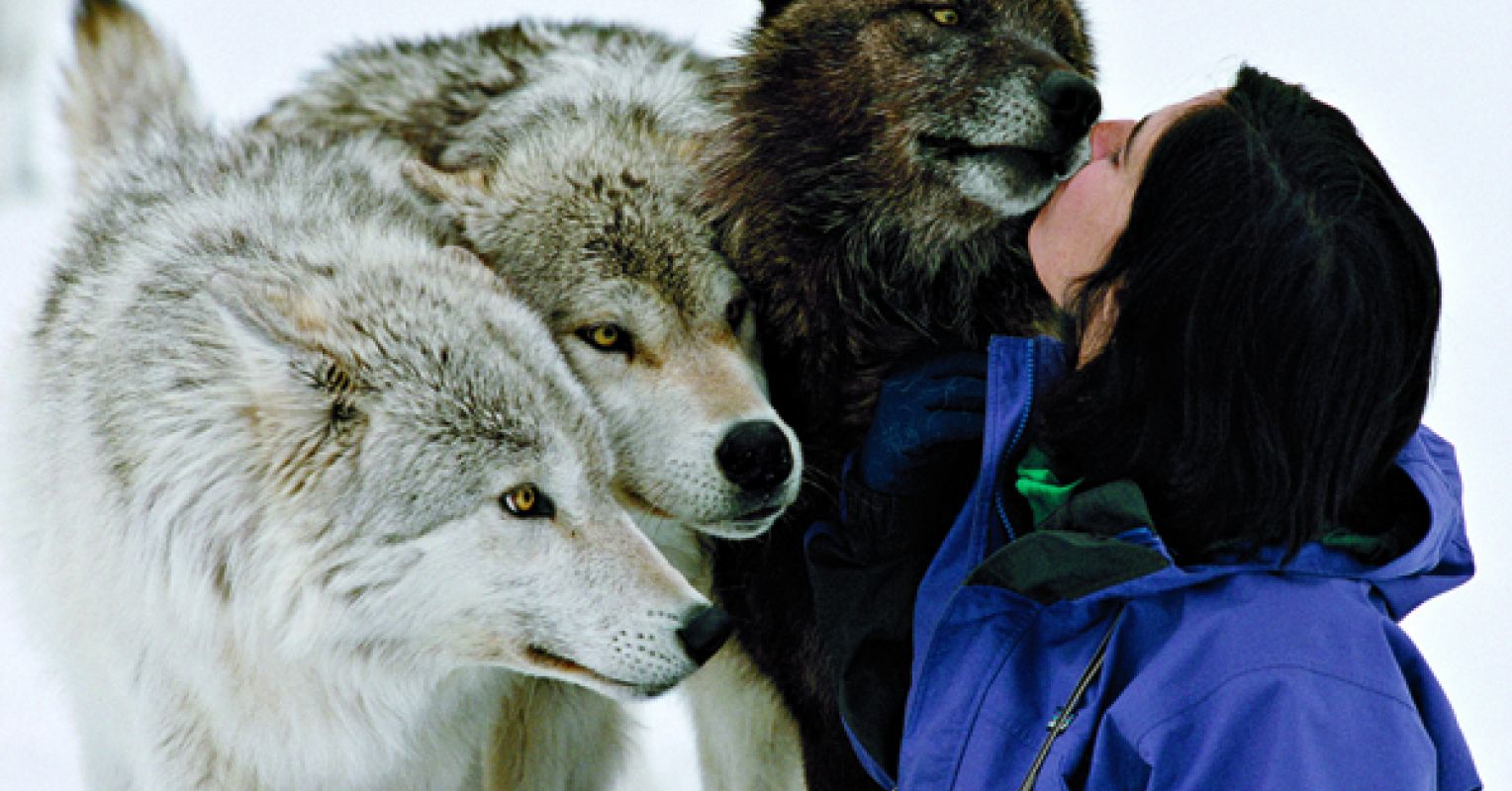 What Is the Dog to a Wolf? | Psychology Today