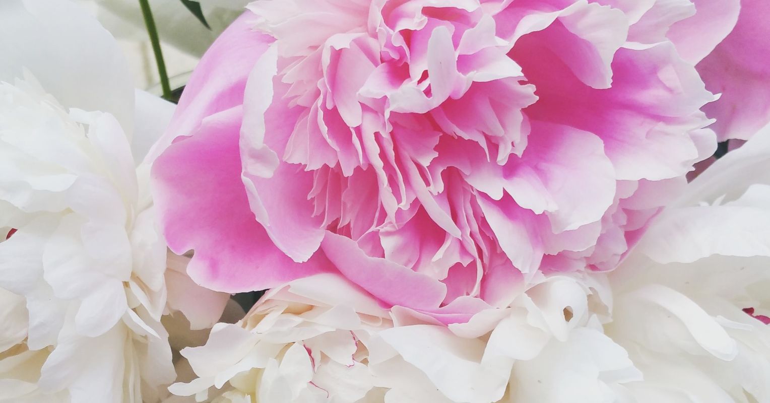 5 Ways to Cope With Failure | Psychology Today