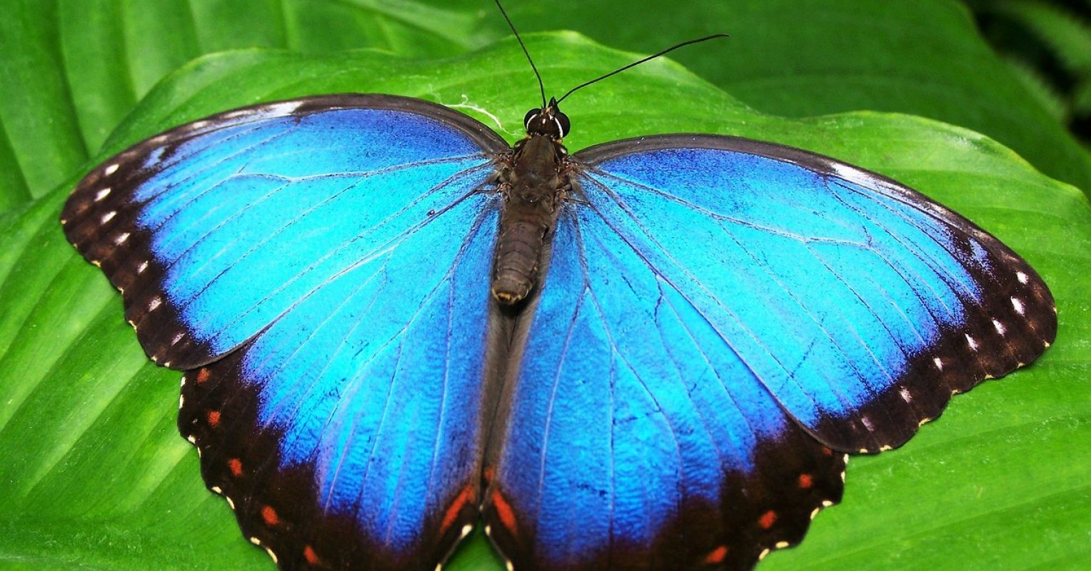 The 3 Stages in the Midlife Search for Meaning | Psychology Today