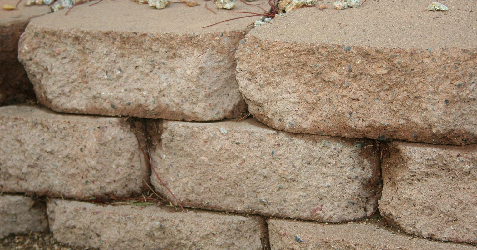 The Building Blocks of Empathy | Psychology Today