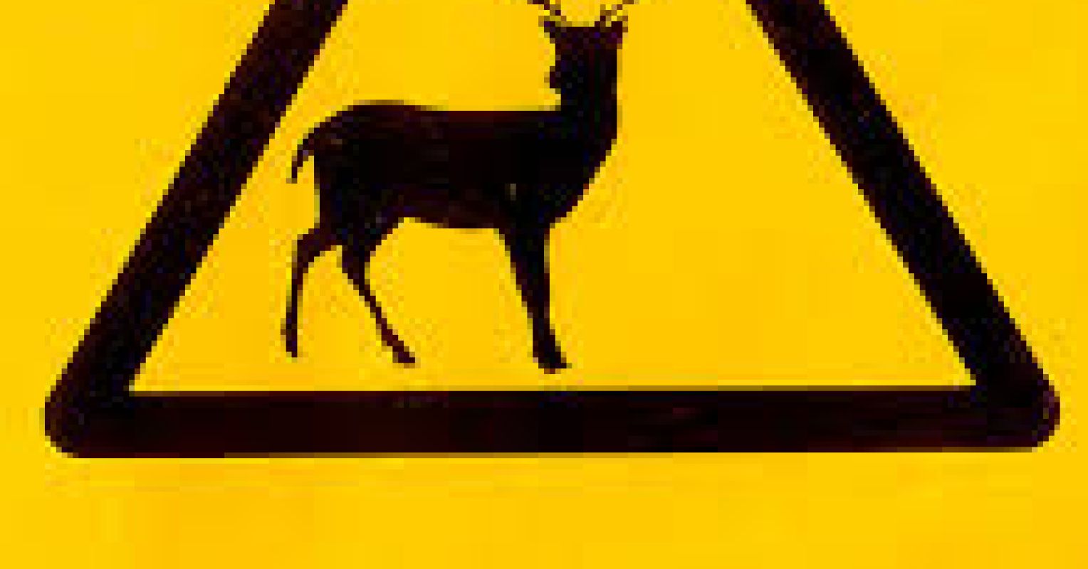 How to Stop Passing the Emotional Buck | Psychology Today