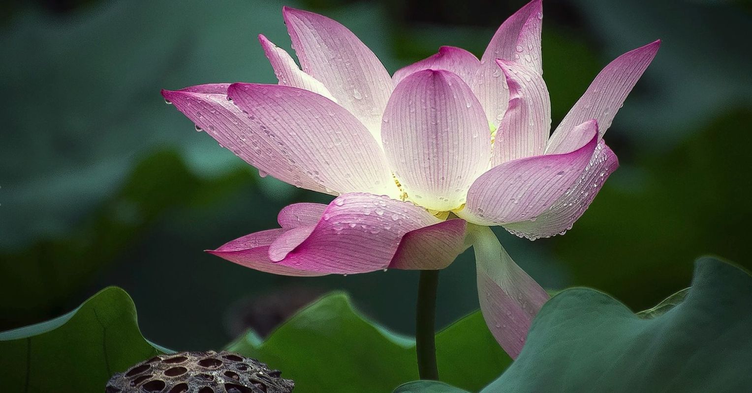 Working Out | Psychology Today