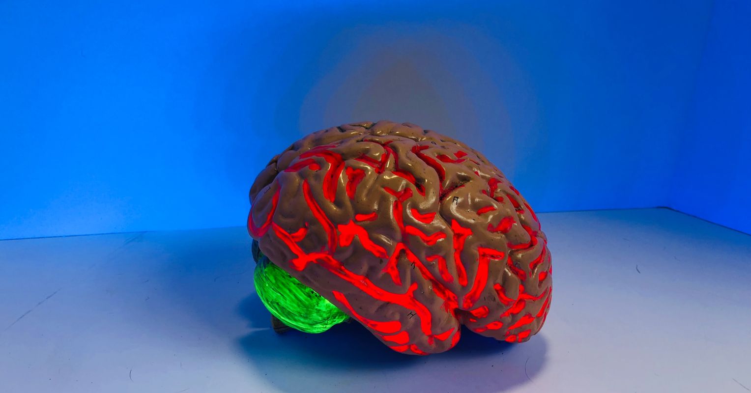 Cerebral Blood Flow Is Crucial For Cognitive Performance | Psychology Today