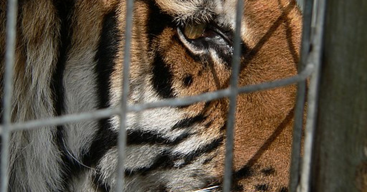 Does Psychotherapy With CBT Involve Homework? | Psychology Today