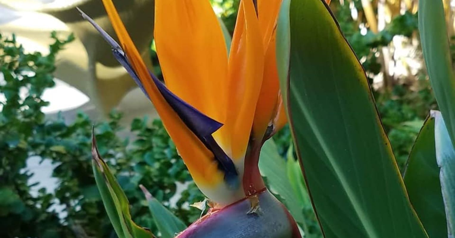 4 Ways to Overcome a Professional Setback | Psychology Today Singapore