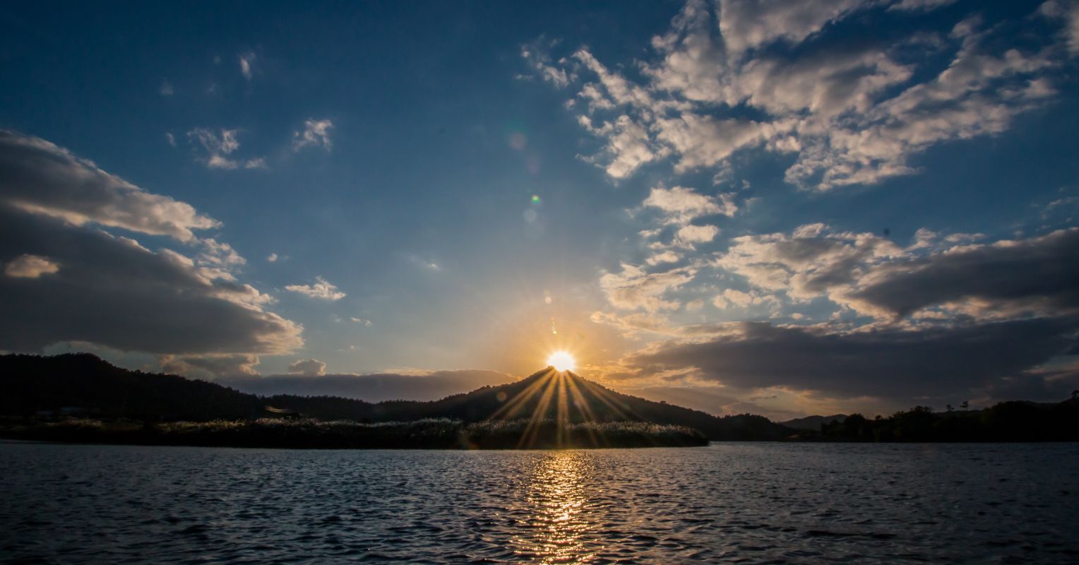 In the Light of Day | Psychology Today