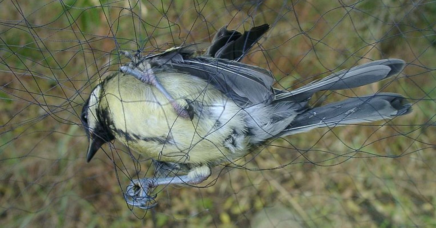 Empathy Through Vision and Movement | Psychology Today