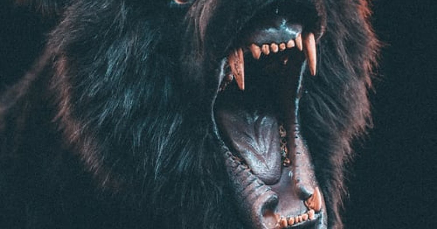 Got Big Anger? A Short Fuse? How to Rein It In | Psychology Today