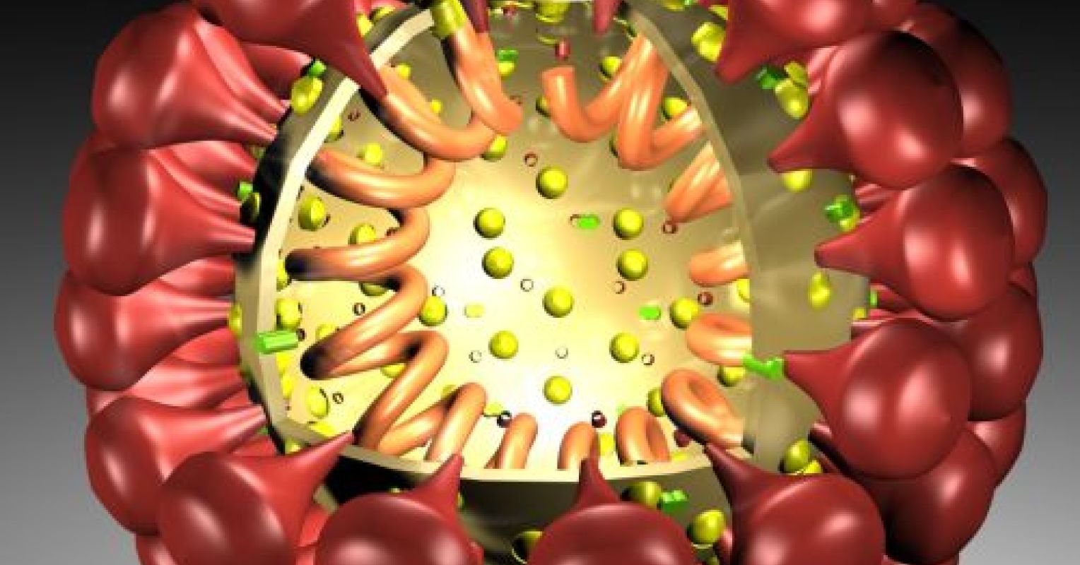 Germaphobia and the Pandemic | Psychology Today