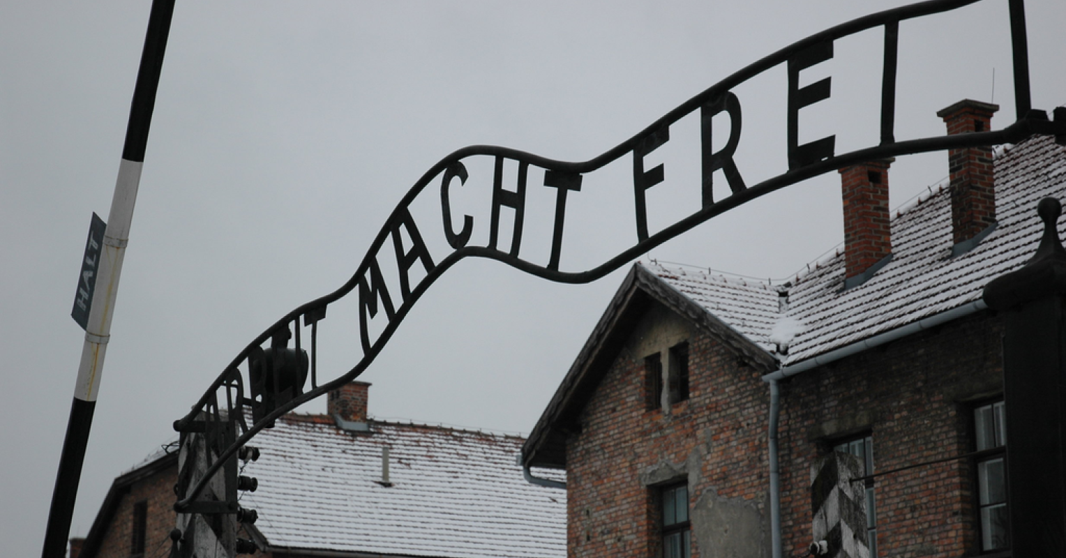 Twelve Steps for Healing Trauma From a Holocaust Survivor | Psychology ...