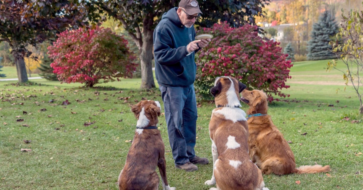 What Our New Dog Is Teaching Us About Life | Psychology Today United ...