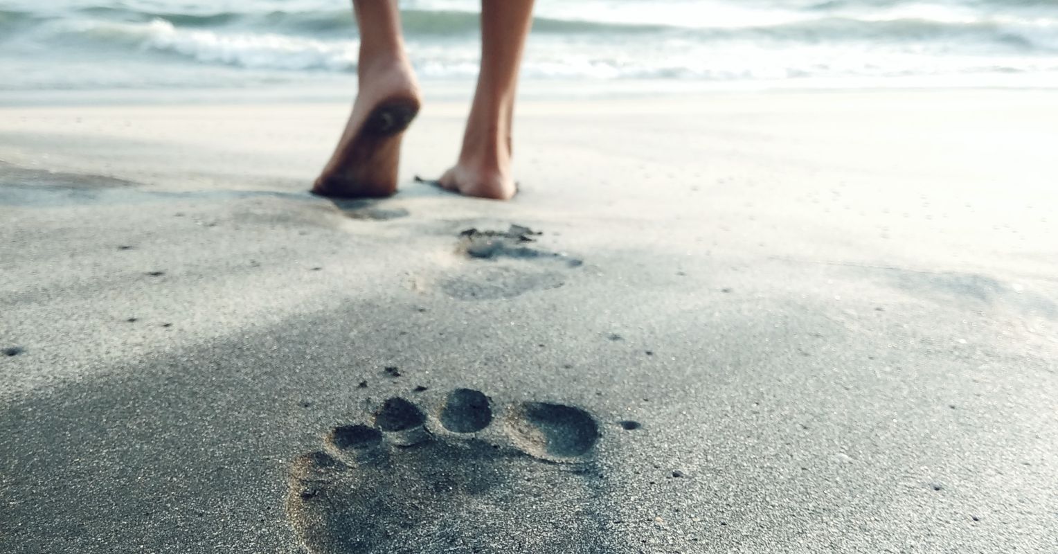 How Perspective-Taking Helps Us Understand Others and Ourselves ...