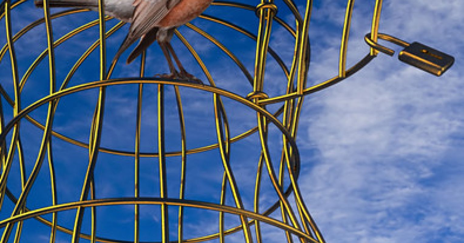 The Rare but Powerful Experience of Freedom in Prison | Psychology Today