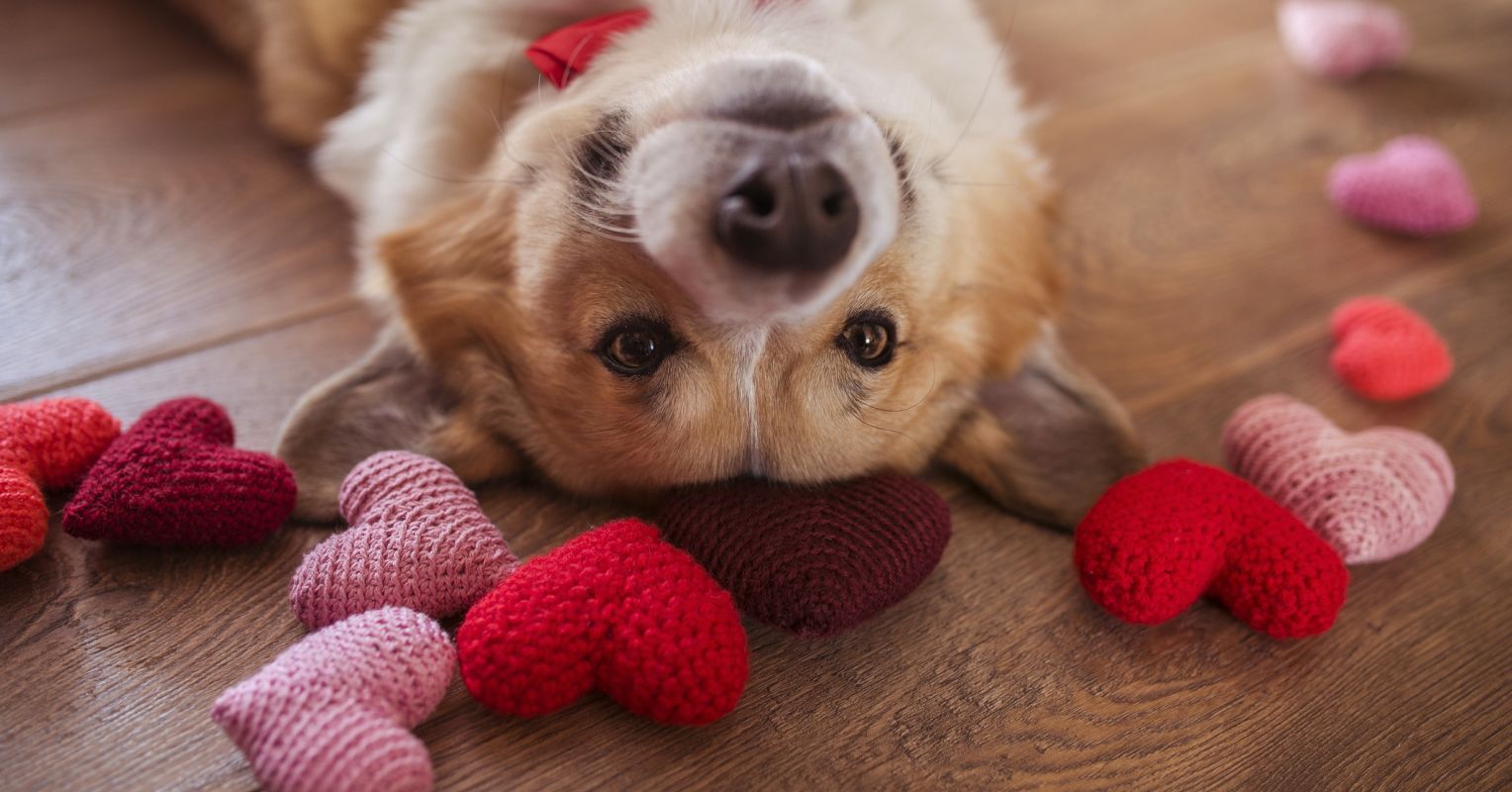 Aprende a amarte | Psychology Today en español