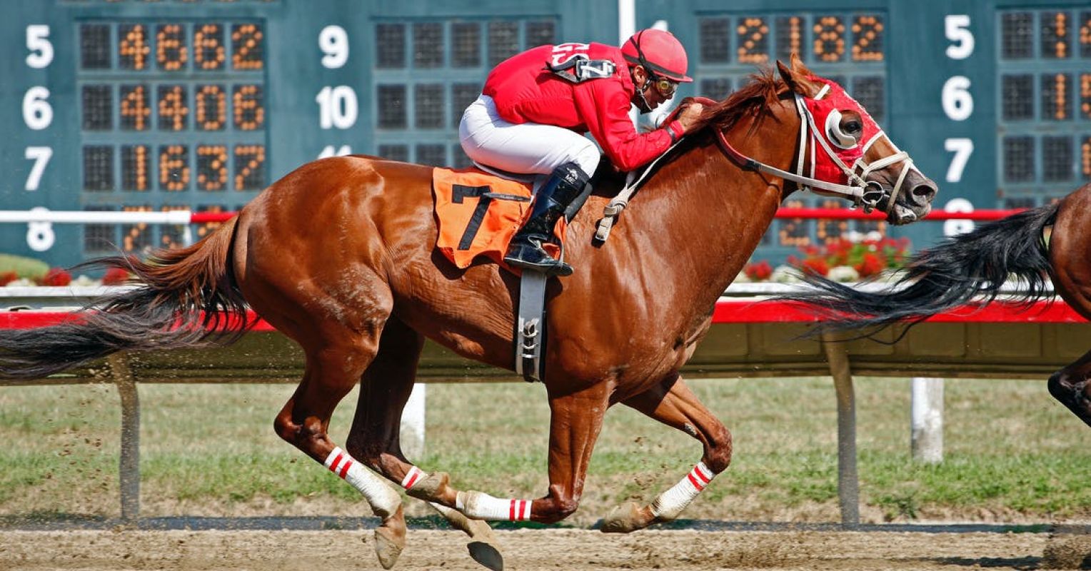 How Horse Racing Must Change | Psychology Today South Africa