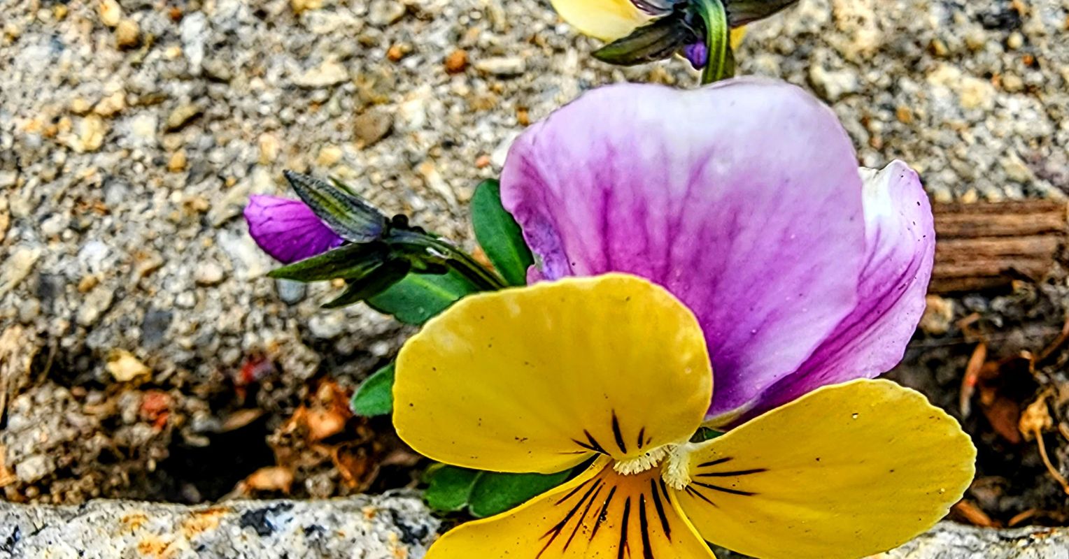 Moving Toward Values-Based Actions | Psychology Today