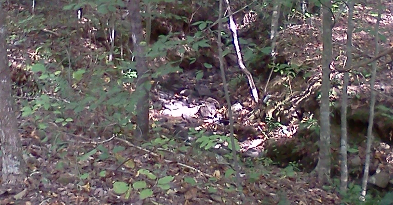 The Problem With Authority | Psychology Today