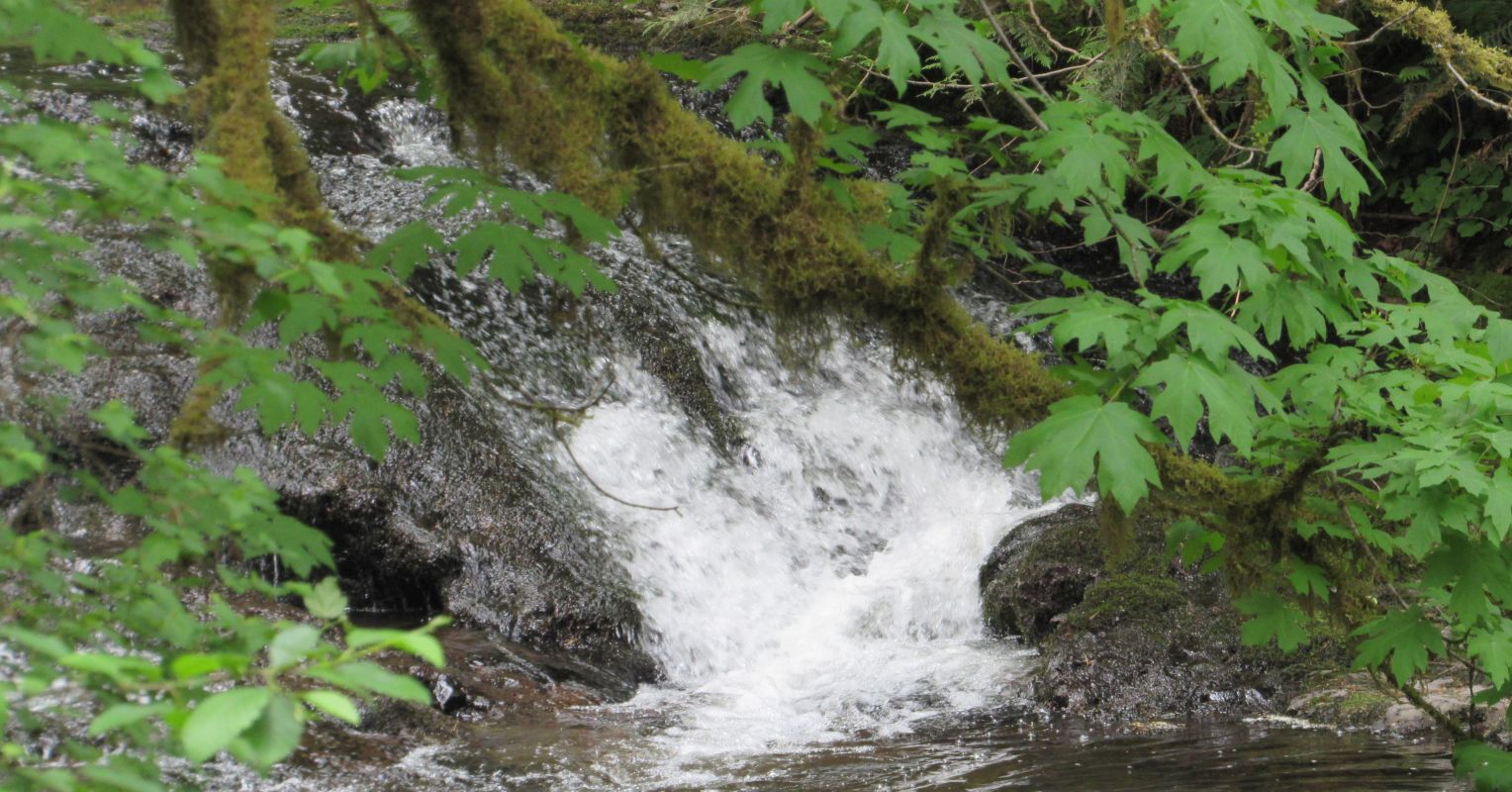 The Many Functions of Dreaming | Psychology Today