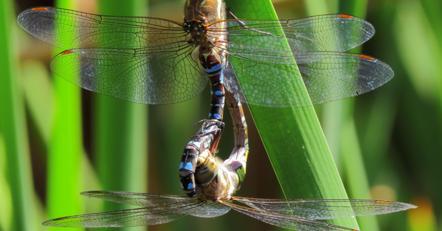 Deceive to Repel | Psychology Today