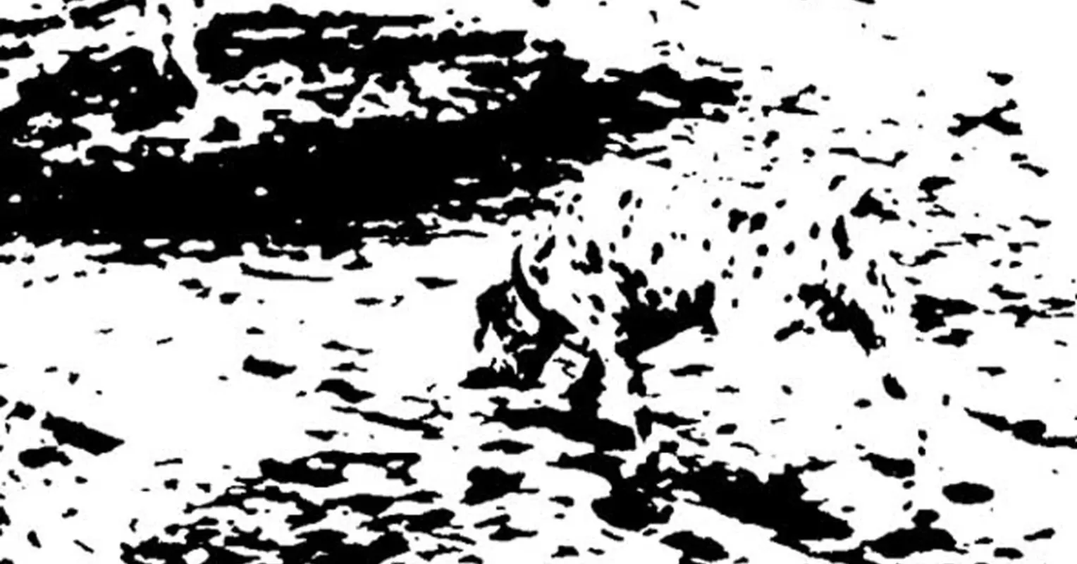 Understanding Is Seeing a Pattern | Psychology Today