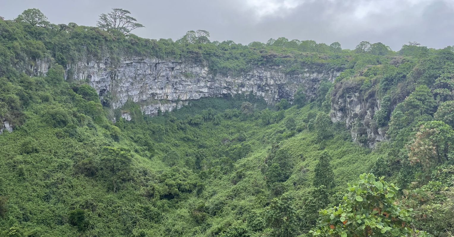 Why I Prescribe Nature | Psychology Today