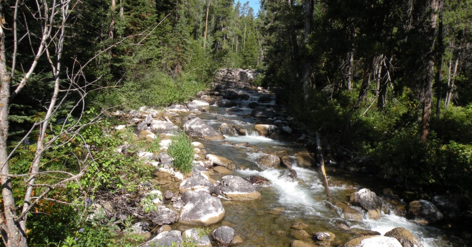 Aging Gracefully: Everyone Is Replaceable | Psychology Today Australia