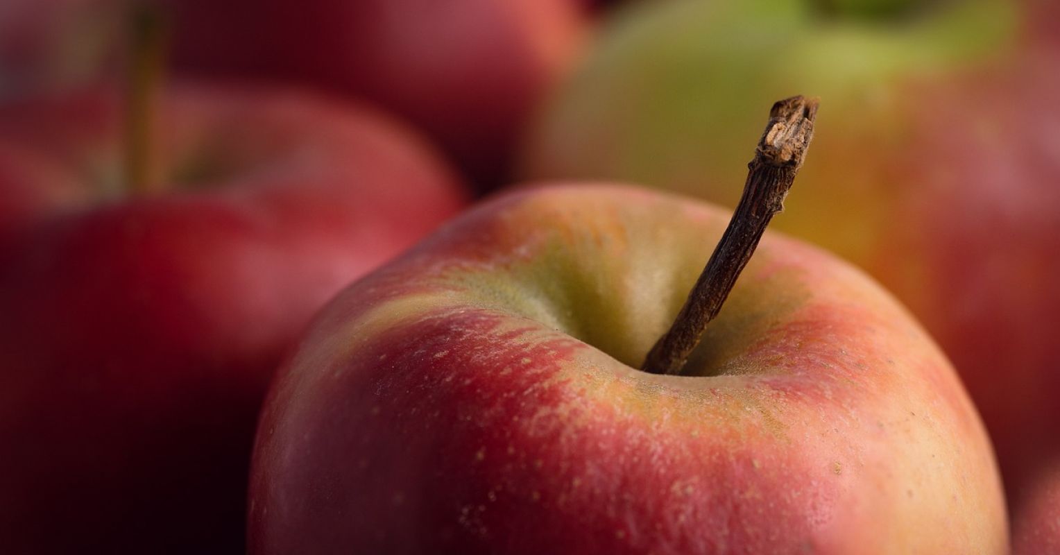 Apples vs. Apple Jacks | Psychology Today Australia