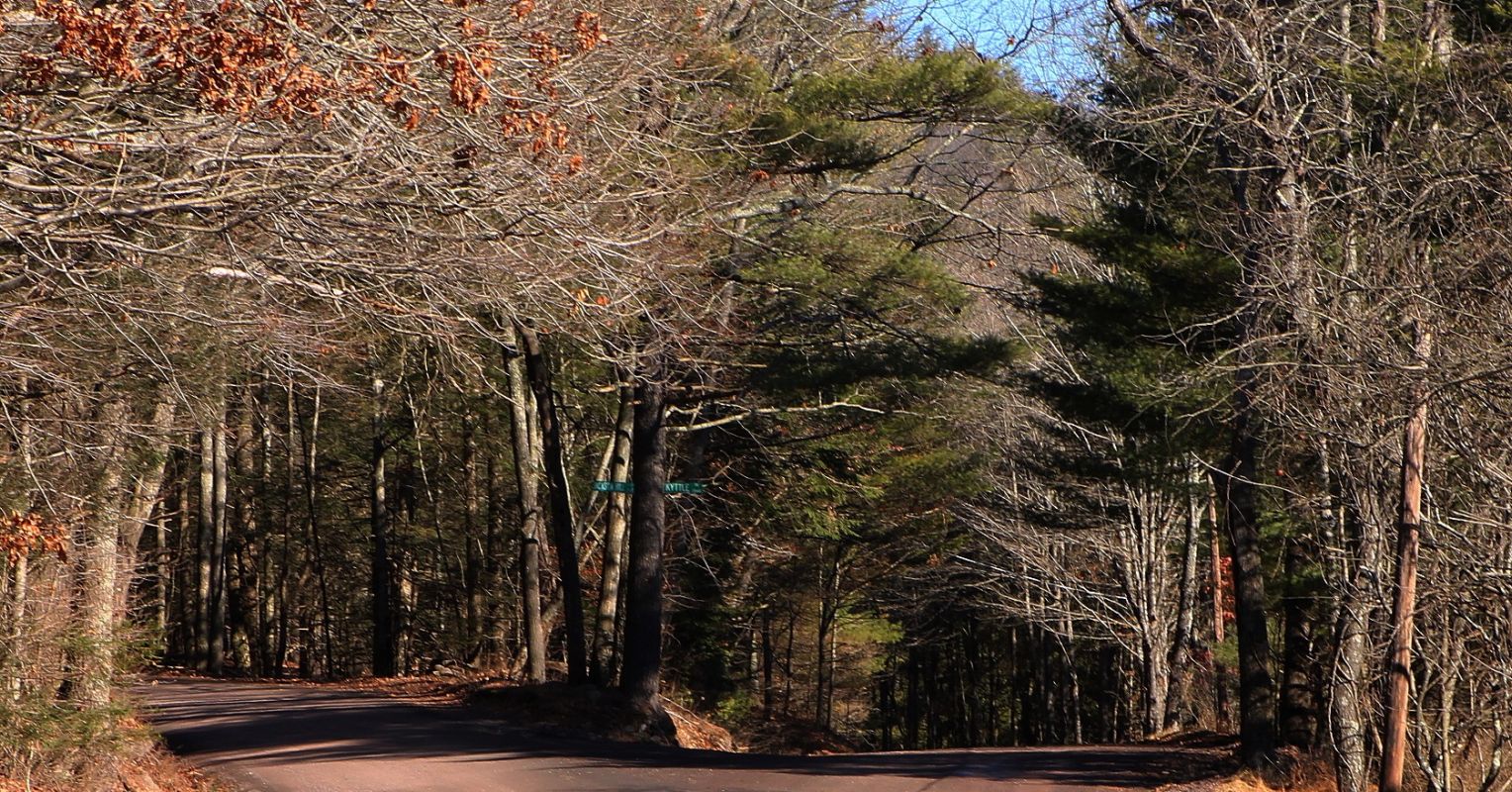 Might Mischief Mark the Misremembered Road Less Traveled? | Psychology ...