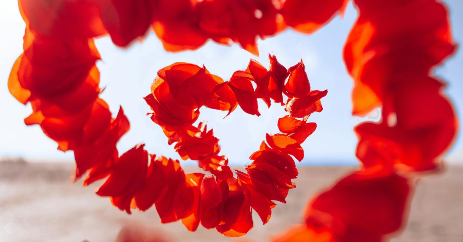 6 Ways to Heal a Broken Heart | Psychology Today