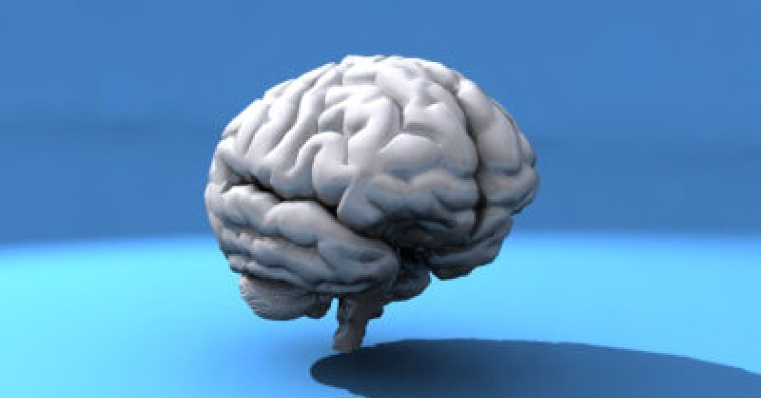 Why the Mind Is More Than the Brain | Psychology Today