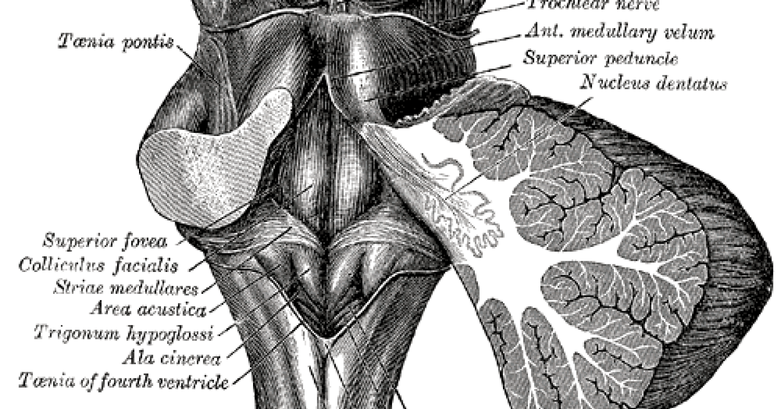 Pregnancy Brain: The Expectant Mom's Guide | Psychology Today