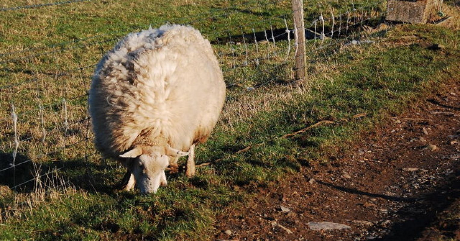 7 Effects of Alcohol Myopia | Psychology Today