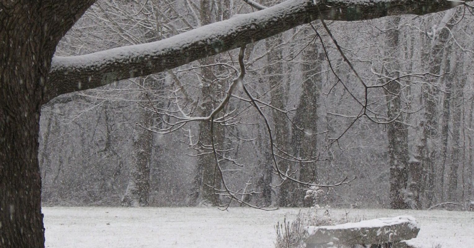 Shuttered In | Psychology Today