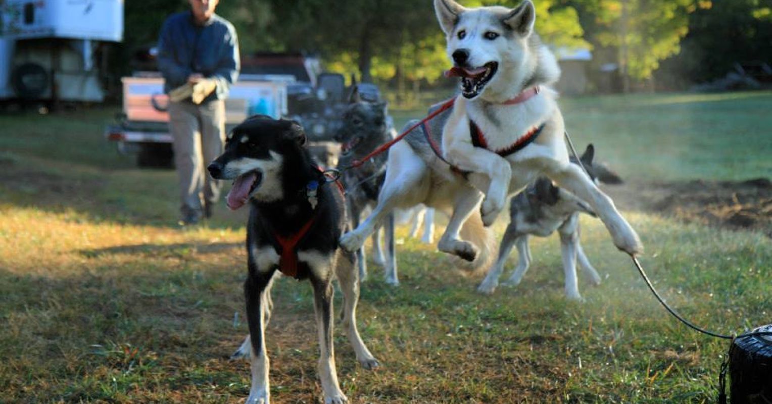 Breaking Down the Silos | Psychology Today Ireland