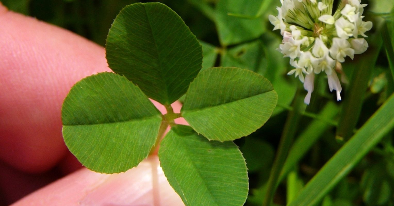 These Are the 8 Habits of Highly Lucky People | Psychology Today