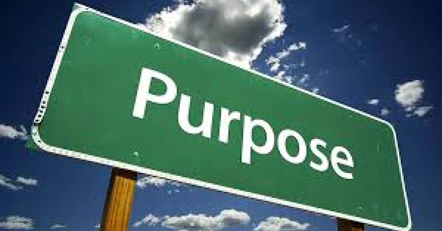 What's Your Purpose? | Psychology Today