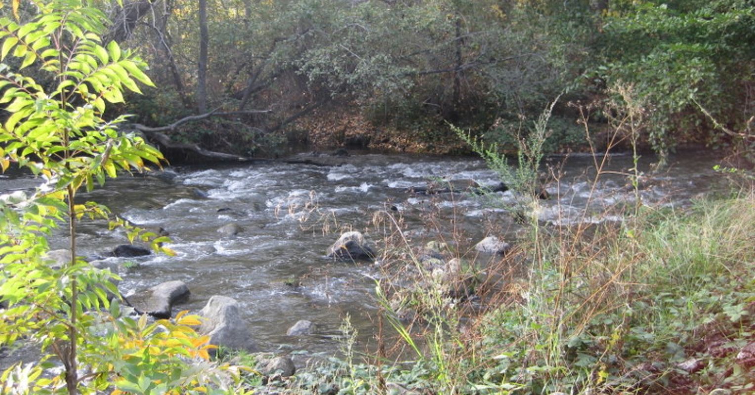 How Do You Deal With Challenges? | Psychology Today