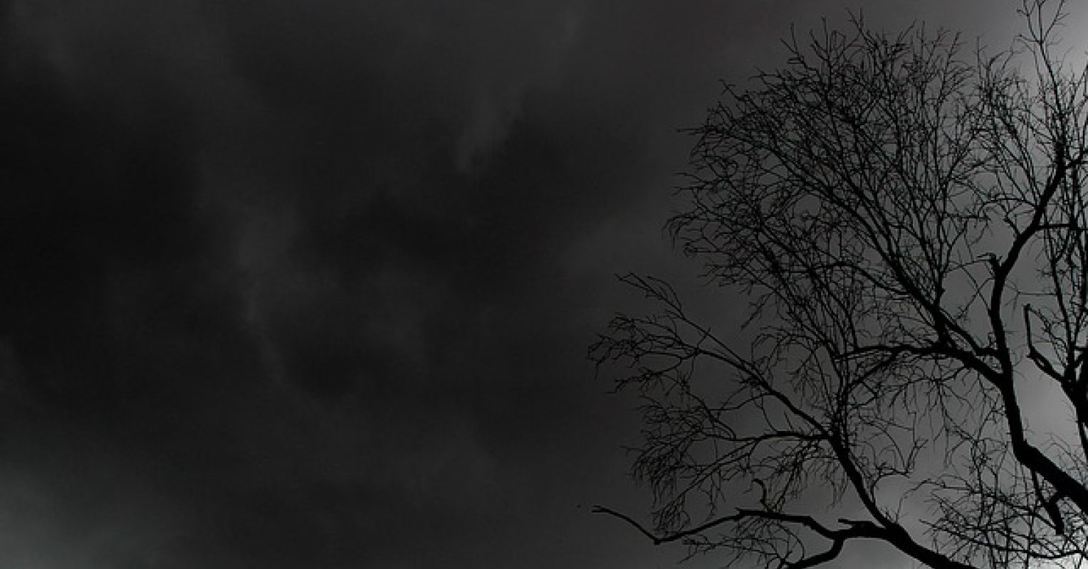 Unimagined Sensitivities, Part 1 | Psychology Today