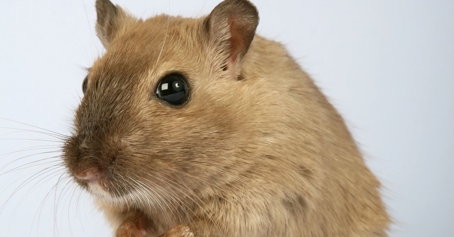 Why Do People Skitter on the Margins of Their Own Lives? | Psychology Today