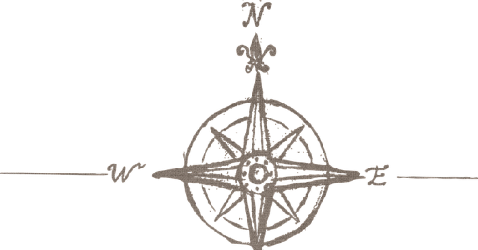 Heading in The Right Direction: The Brain's Internal Compass ...