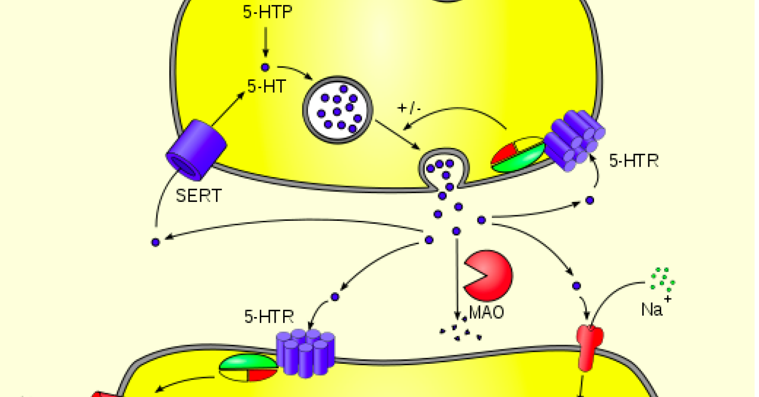 Nature vs. Nurture and Depression | Psychology Today